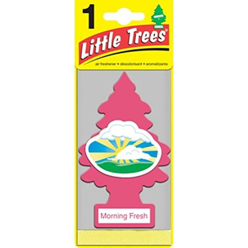 Little Trees Air Freshener 6-Pak, Morning Fresh (U6P60228) - Walmart.com