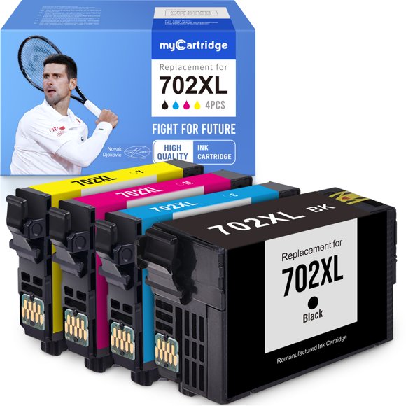 Epson 702 Ink Cartridges