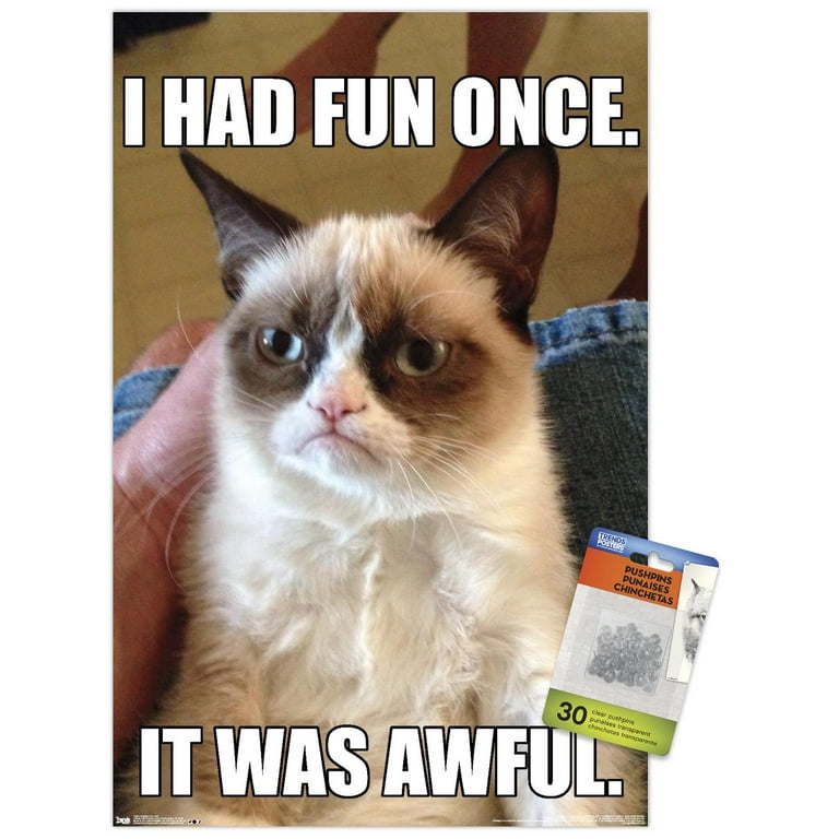 Grumpy Cat Tuesday Meme