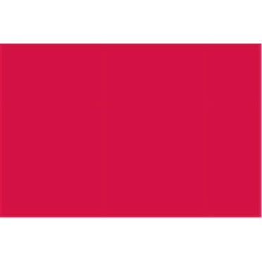 Pacon 22" x 28" Poster Board White - Walmart.com