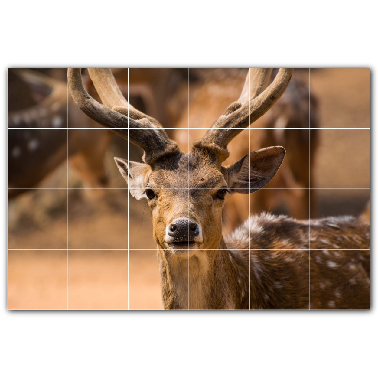 Picture-Tiles.com: Deer Ceramic Tile Wall Mural WAL500449-64L. 48"W x ...