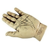Palmistry Hand Kit with Booklet - Walmart.com