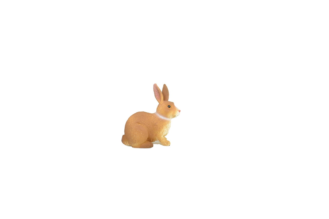 Rabbit, Museum Quality Plastic Animal, Educational, Realistic Hand ...