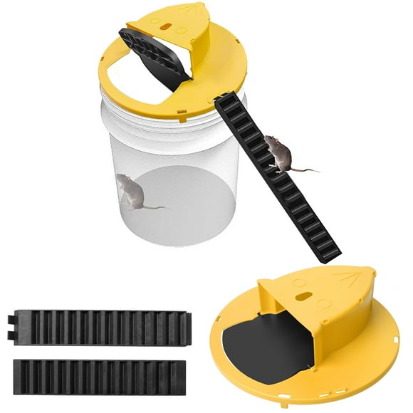 5 Gallon Bucket Mouse Trap