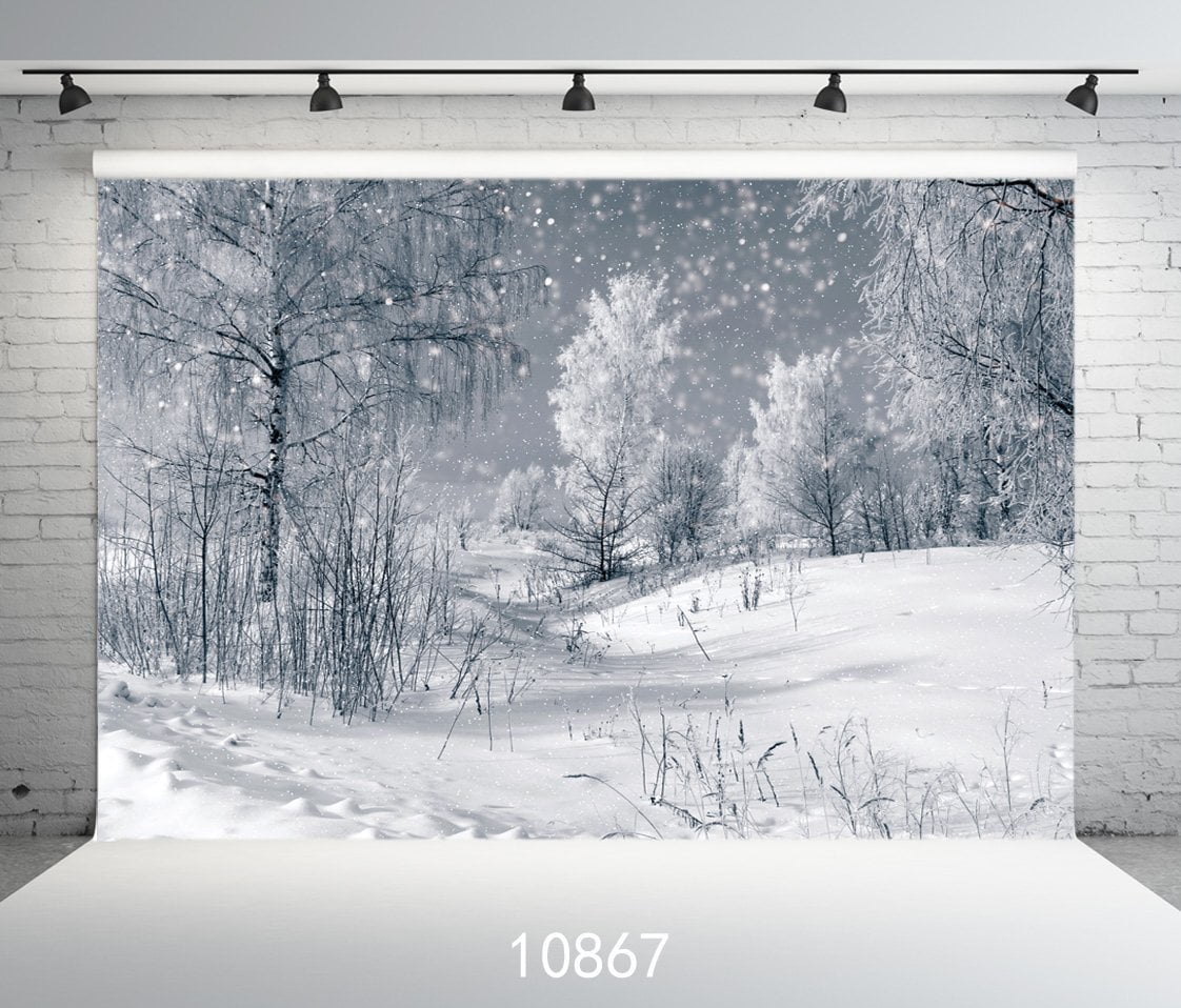 MOHome 7x5ft Natural Snow Photography Backdrop Photo Backgroound ...