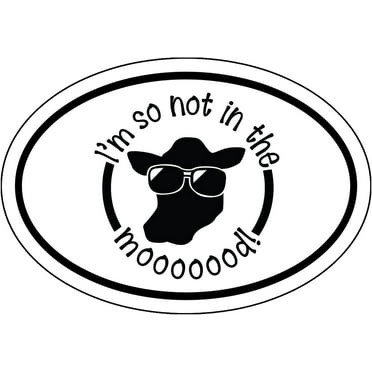 Chrome Side Body Trim Molding 1973-1987 Chevy GMC C10, C20, C30, K10 ...