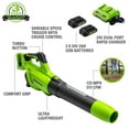 Greenworks 48V Brushless 515 CFM 125MPH Leaf Blower + 2 (24V) 2.0Ah ...