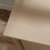 Sauder Office Whitaker Point Engineered Wood 2-Drawer Lateral File in ...