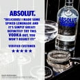 Absolut Original Vodka, 1.75 L Bottle, 40% ABV - Walmart.com