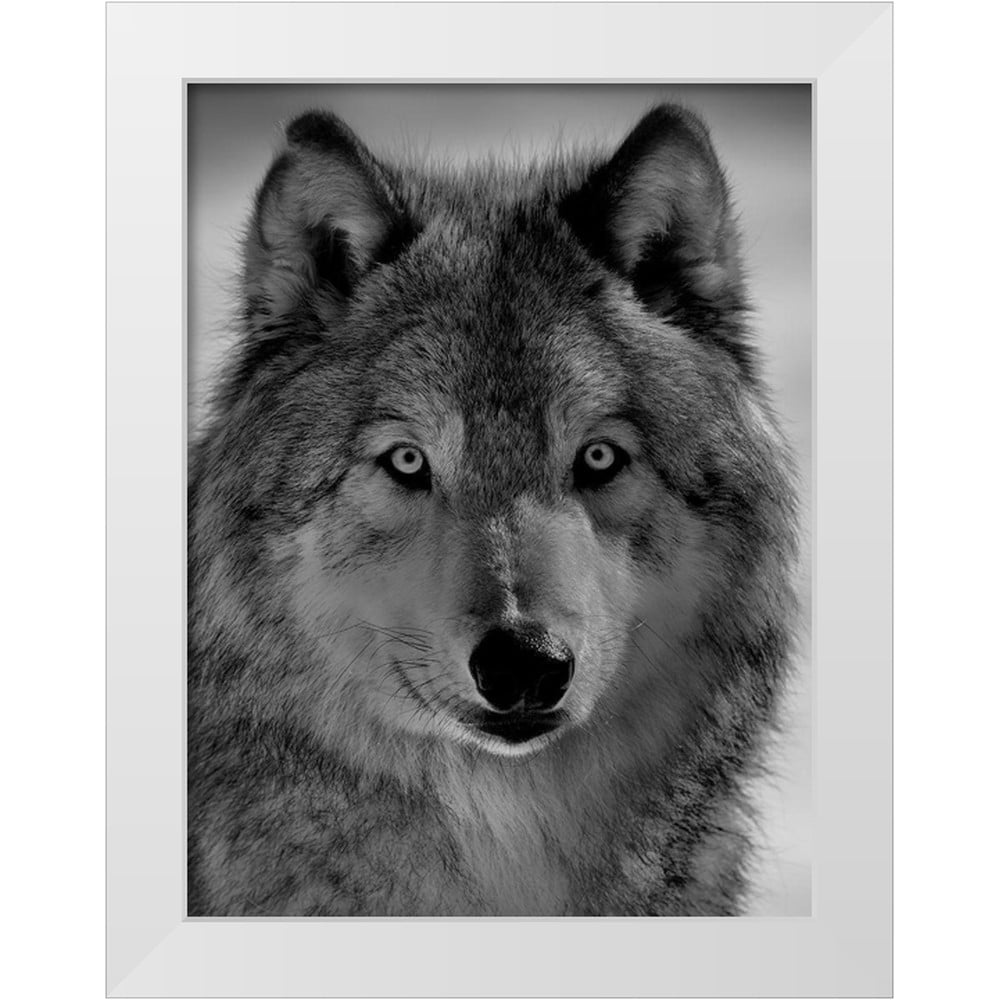 Chang, Phillip 25x32 White Modern Wood Framed Museum Art Print Titled ...