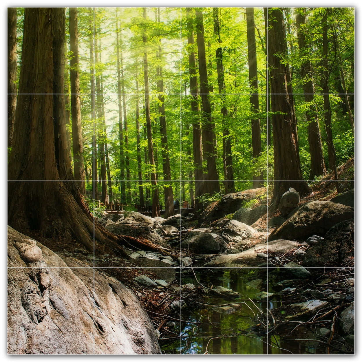 Picture-Tiles.com: Trees Ceramic Tile Wall Mural WAL501042-44XL. 48"W x ...