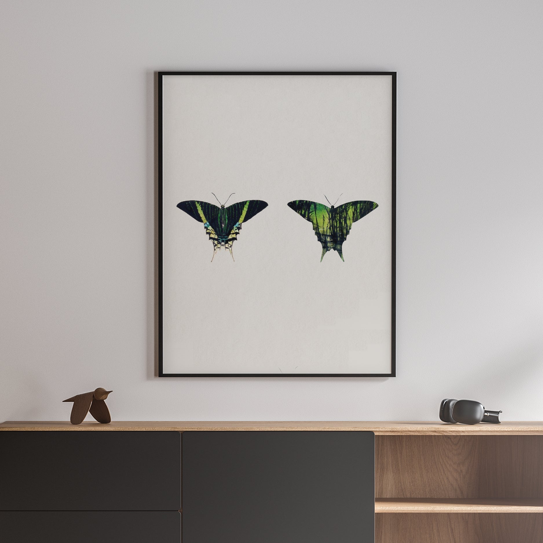 Urania Moth - 1849–1921 | Abbott Handerson Thayer | Premium Fine Art ...