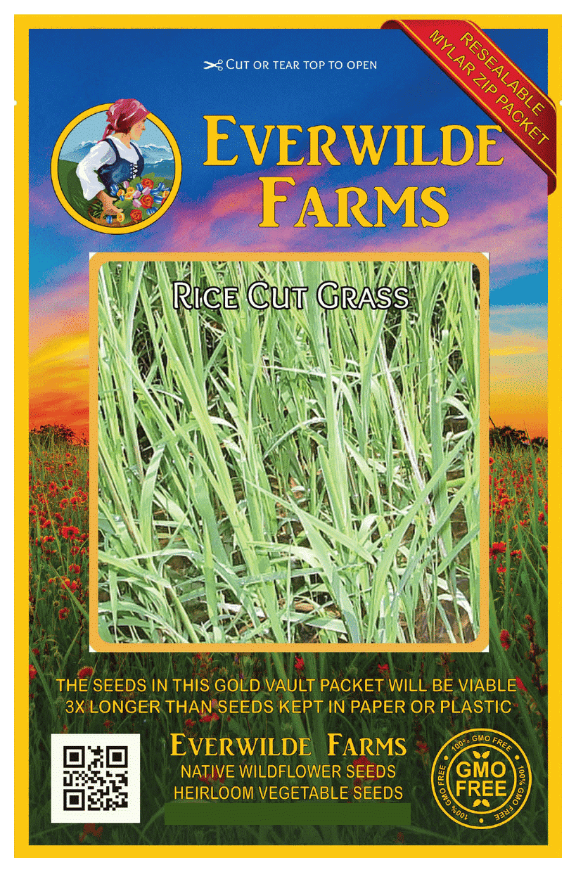Everwilde Farms - 1000 Rice Cut Grass Native Grass Seeds - Gold Vault ...