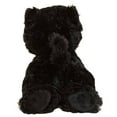 Warmies Cozy Plush Black Cat Stuffed Animal - Microwavable, Lavender ...
