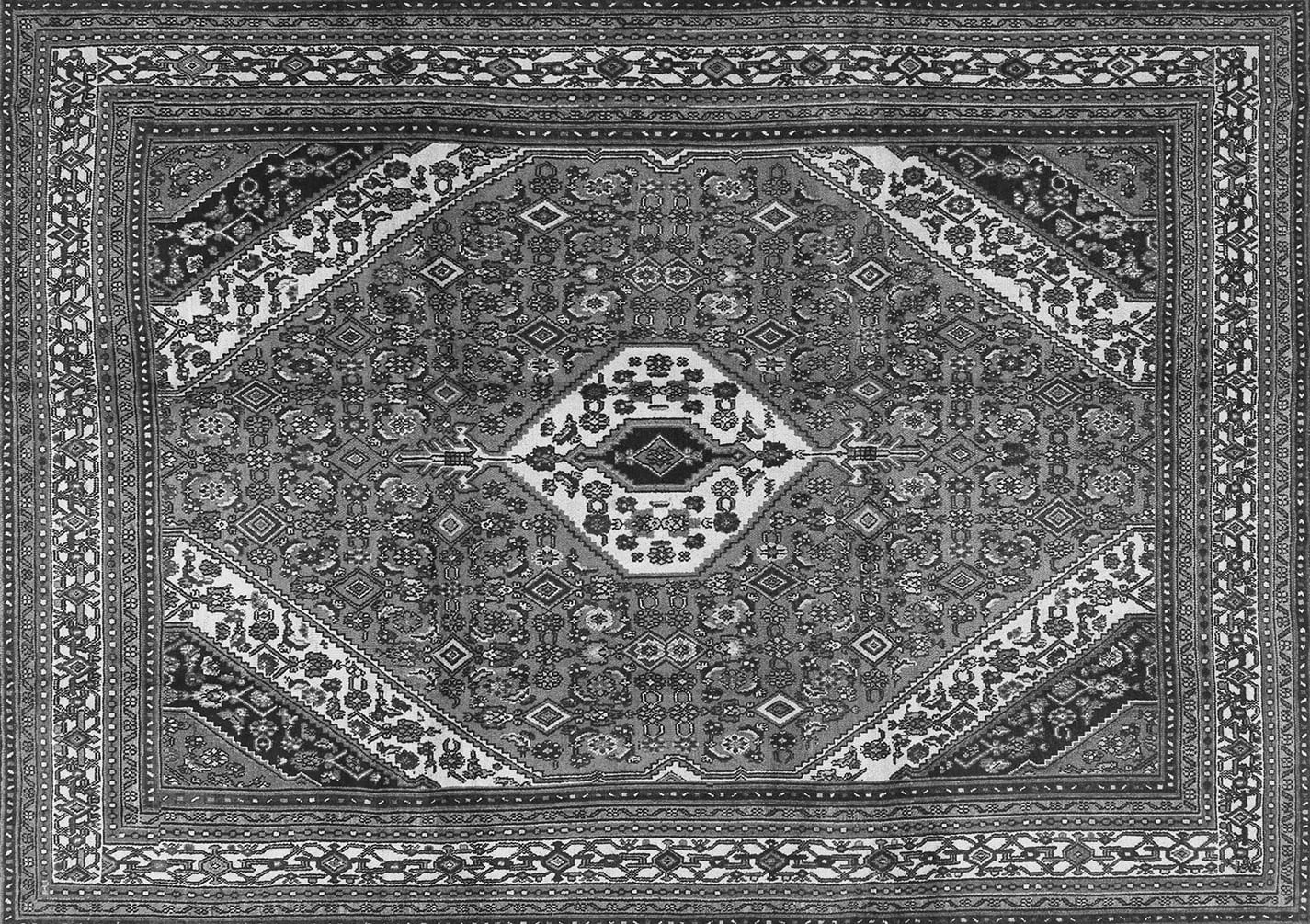 Ahgly Company Indoor Rectangle Persian Gray Traditional Area Rugs, 8' x ...