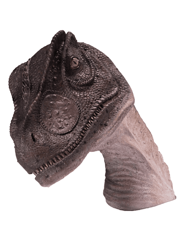 Allosaurus Dinosaur Head Life Size Statue - Walmart.com