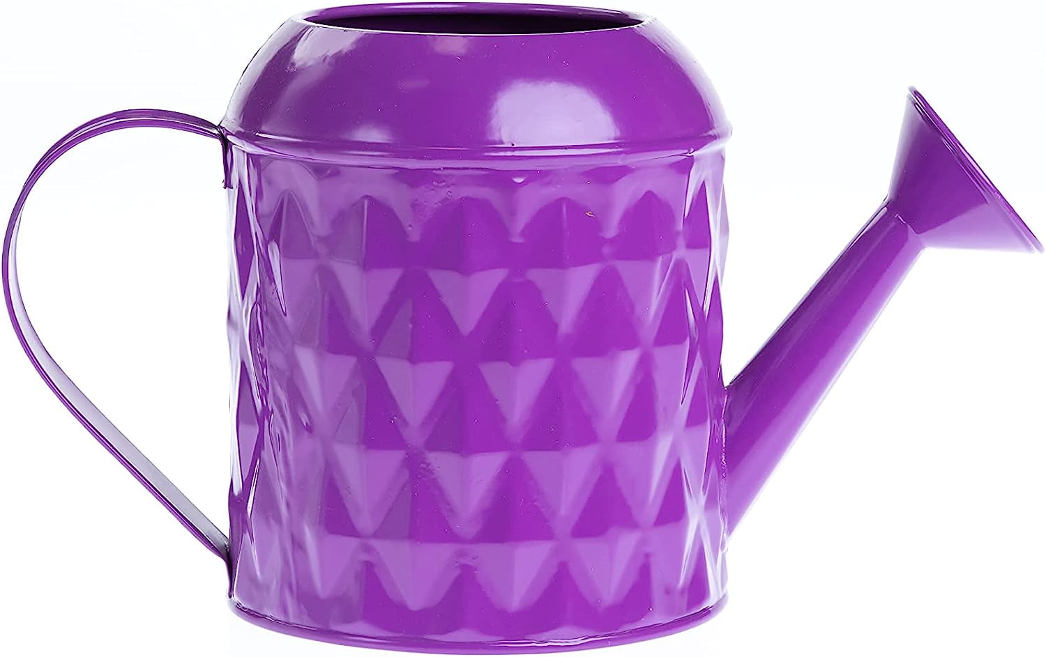 Colorful Watering Can Vase With Plastic Liner For Indoor Plants L ...