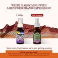 Herbs Etc. Singer's Saving Grace Professional Strength Non-Alcohol ...
