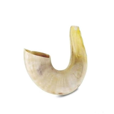 Nua 60378 10-12 in. Rams Horn Mini Shofar - Walmart.com