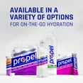 Propel Drink Mix Tablets, Berry, 1.5oz, 80 Count - Walmart.com
