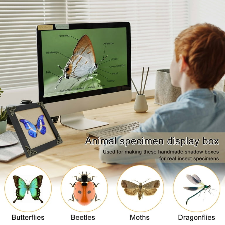 Decorative Computer Monitor Frame