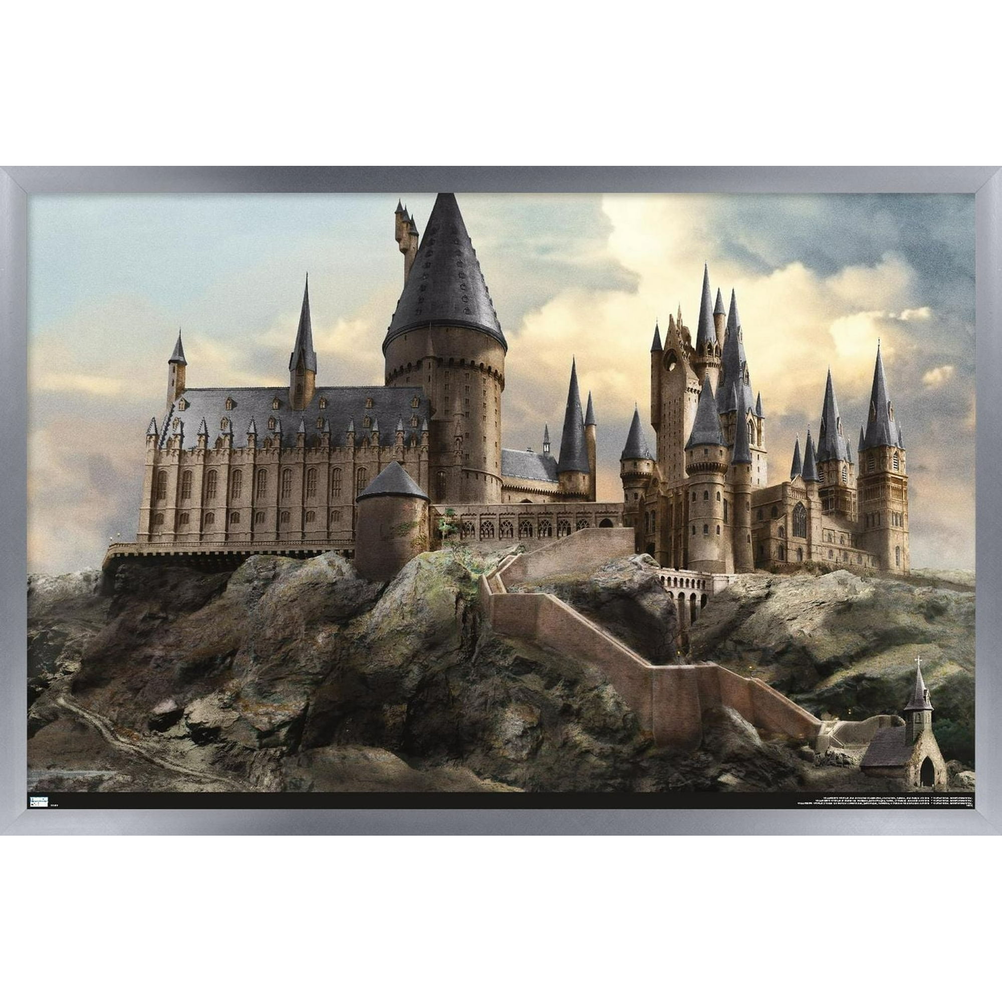 Click here for Trends International The Wizarding World: Harry Po... prices