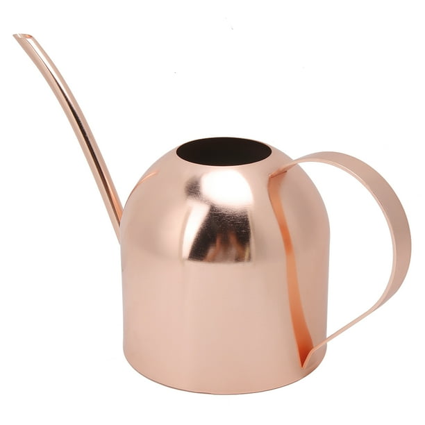1000ml Stainless Steel Watering Can Sprinkle Pot Long Mouth Garden ...