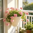 AOMXGD These Are Semi-circular Hanging Flower Pots For Both Indoor And ...