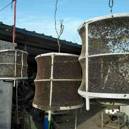 Surrme The Effective Trap Of Outdoor Fly Catcher Cage Net Is Flies And ...