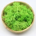 1 Pack Of 10G Artificial Moss Potted Plants Garden Decoration Immortal ...