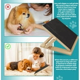 Dog Nail Scratch Pad for Pet Claws Trimming: Medium Built-in Treat Box ...