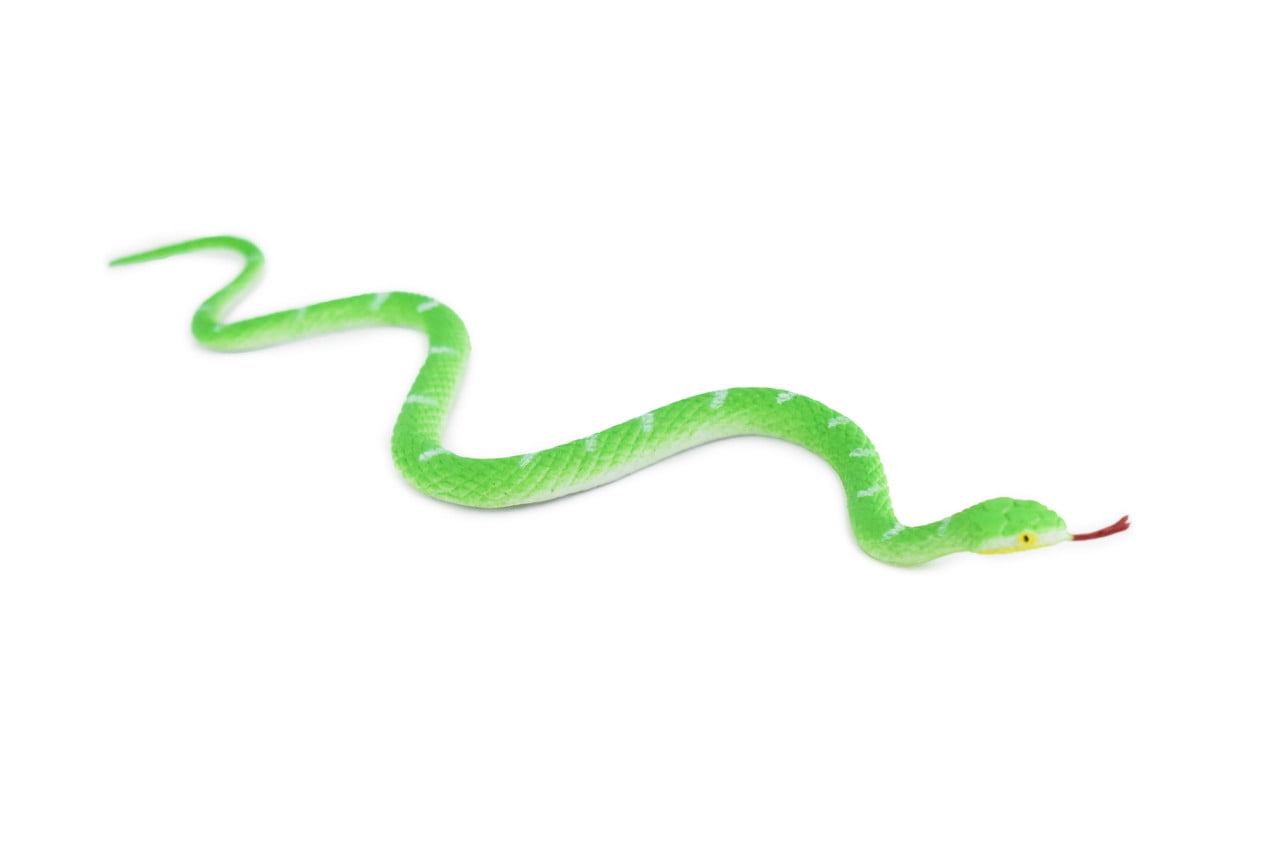 Snake, Bamboo and Mountain Pit Viper, Rubber Reptile, Educational ...