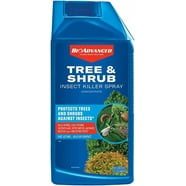 CB-80 Aerosol Insecticide - Indoor & Outdoor Bug & Pest Eliminator ...