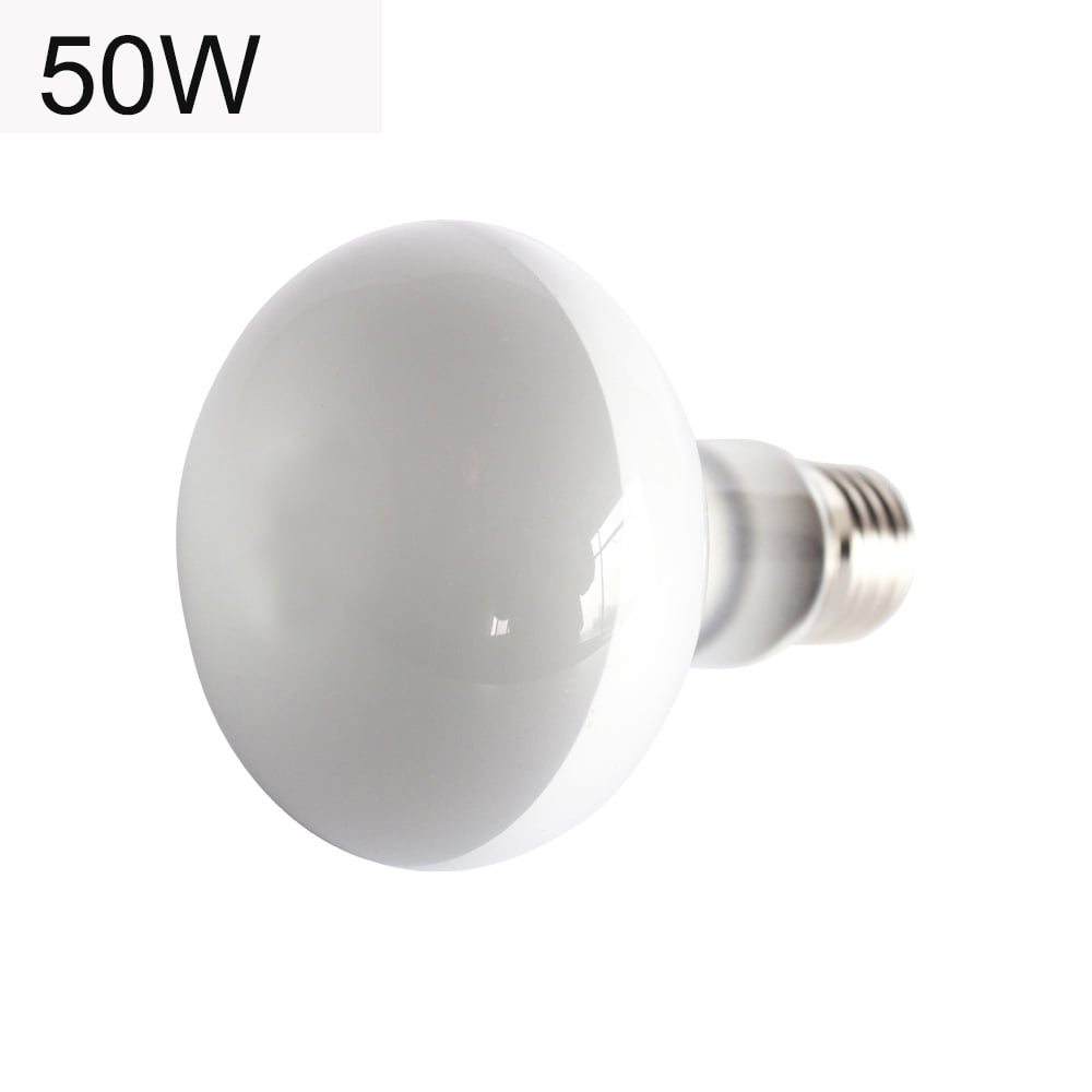 Amphibians Temperature Controller Heater Turtle Halogen Bulb Reptile ...