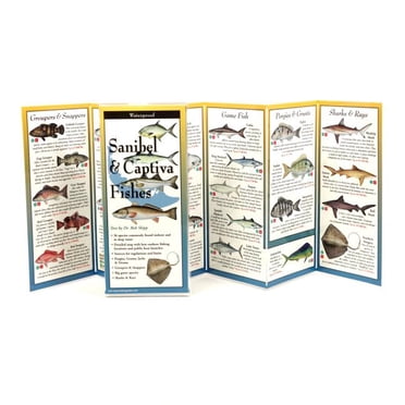 Fish Identification Guides: Saltwater Sport Fish of the Gulf Field ...
