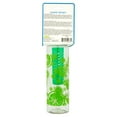 Flavor Infus'r Water Bottle & Flavor Infuser - Walmart.com