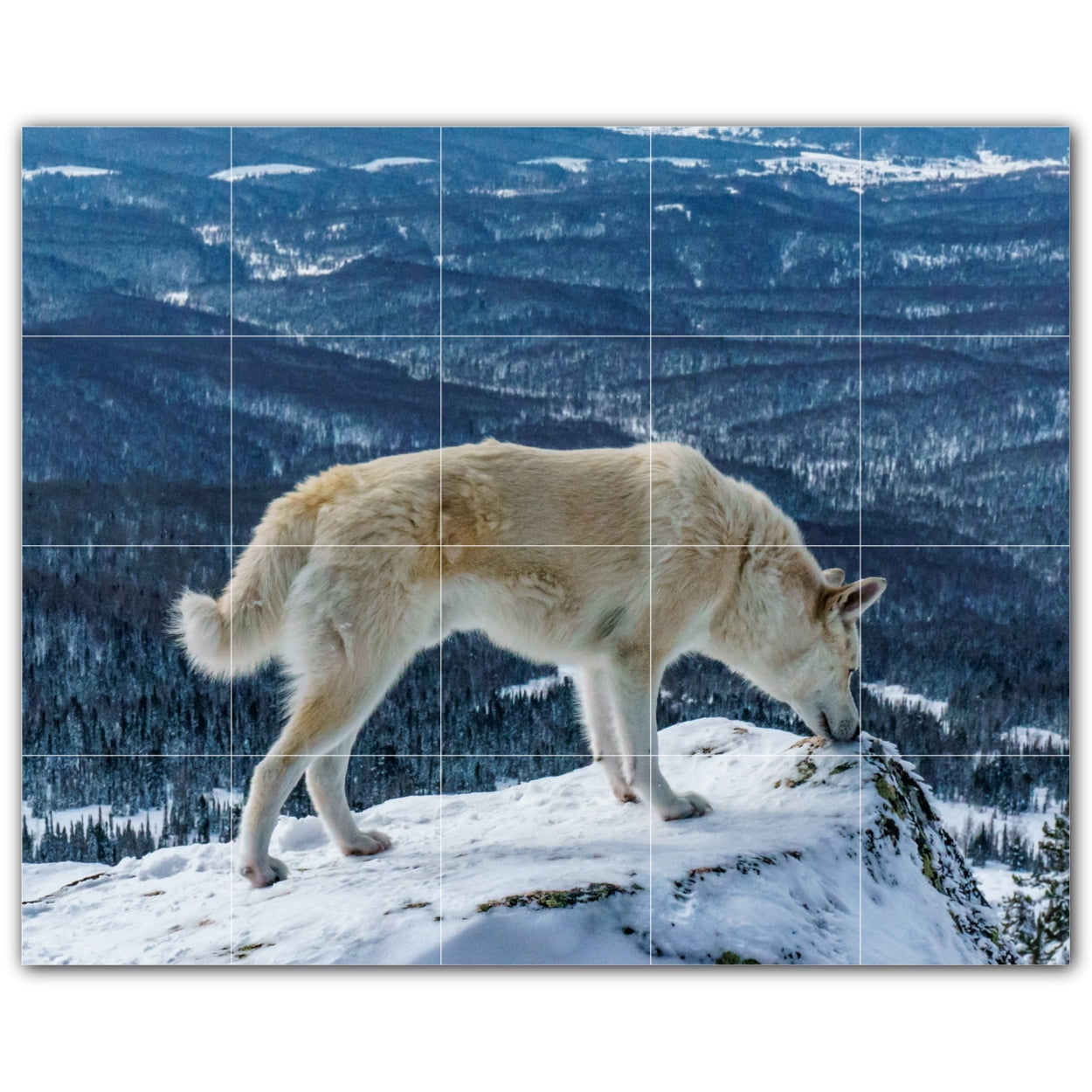 Picture-Tiles.com: Wolf Ceramic Tile Wall Mural WAL501243-54XL. 60"W x ...