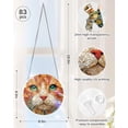 83 Pieces Acrylic Suncatcher Puzzle, Unique Stone-textured green-eyed ...
