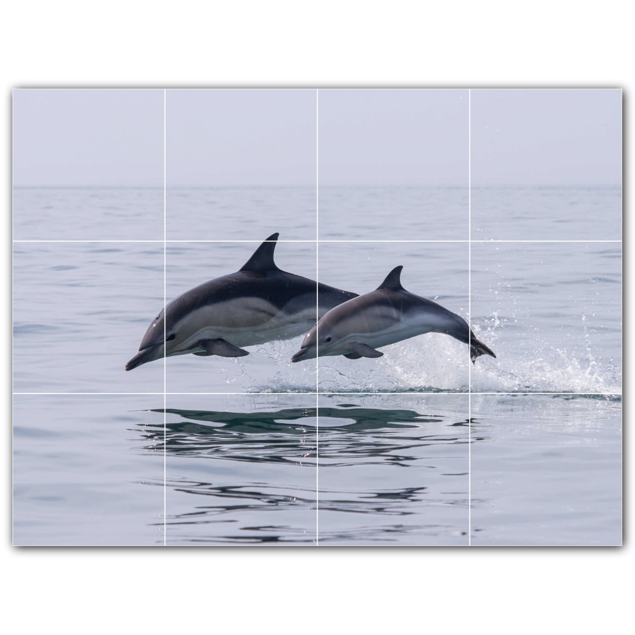 Picture-Tiles.com: Dolphin Ceramic Tile Wall Mural WAL500527-43M. 24"W ...