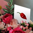 3drose, Habanero Red Hot Pepper Single Copy, 6 Greeting Cards with ...