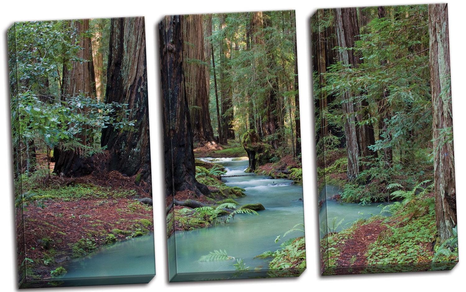 Redwood Forrest | Stunning Stream Flowing Through the Redwoods Triptych ...