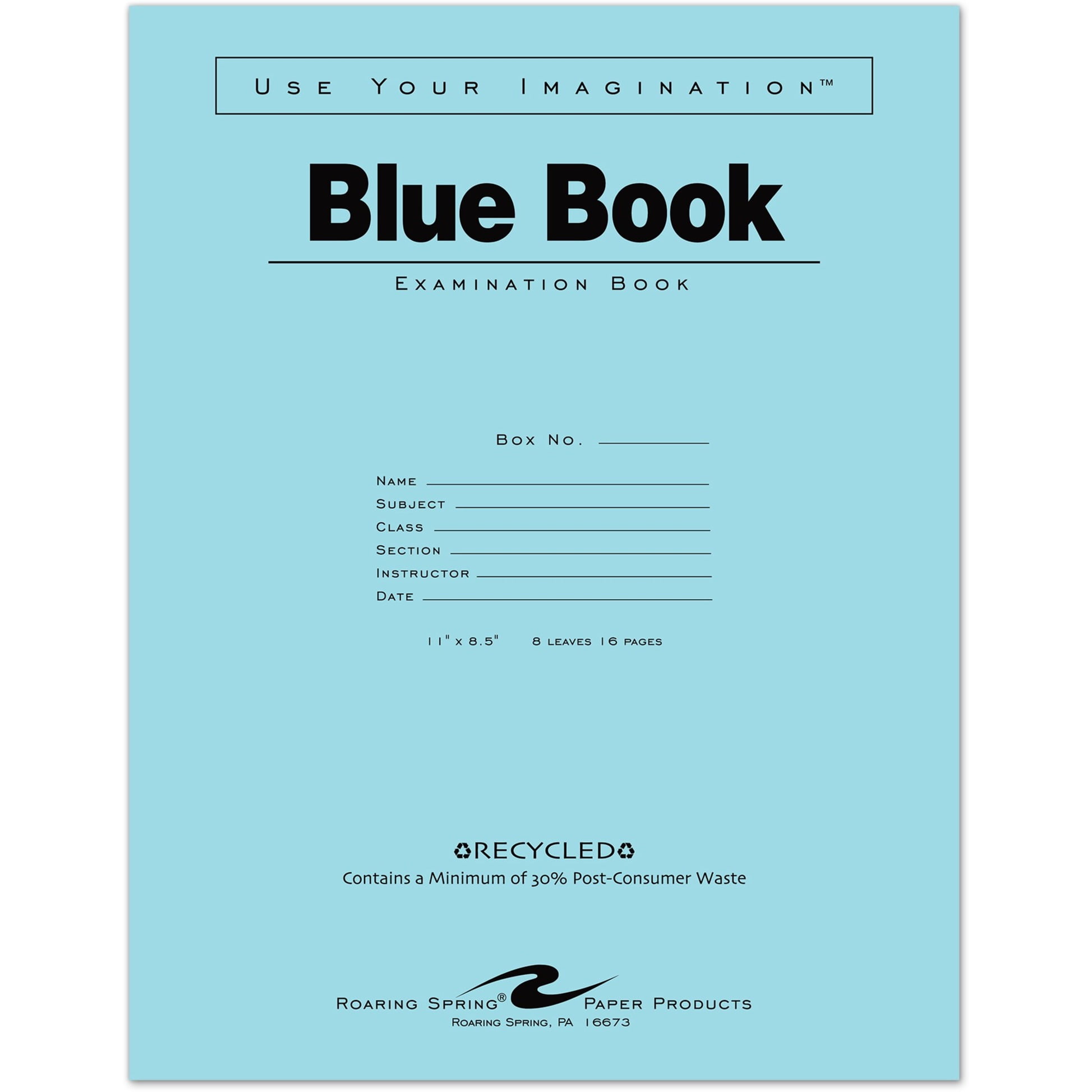 Buy Roaring Spring Recycled Test Blue Exam Book, 1 Case (500 Total ...