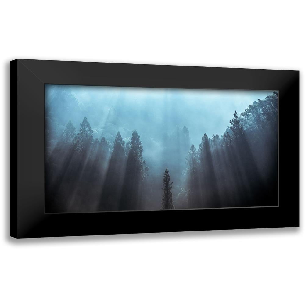 Fujii, Tsuneya 24x15 Black Modern Framed Museum Art Print Titled ...