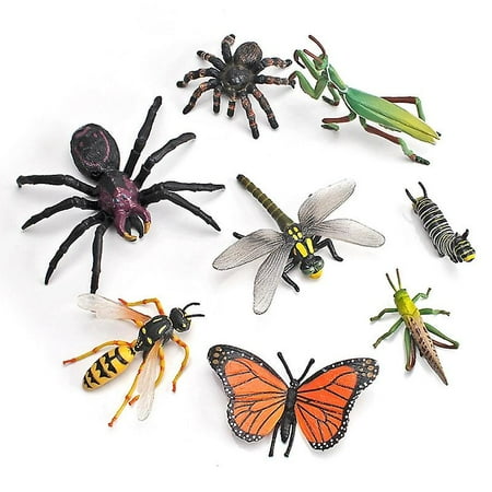 Science Toy For Kids/adults Realistic Insect Toys Relieve Stress ...
