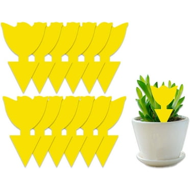 51 Pcs Fly Dual-Sided Yellow Sticky Bug Plant Fly Insect Glue Sticky ...