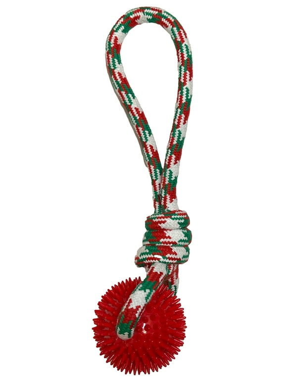Dog Rope and Tug Toys in Dog Toys - Walmart.com