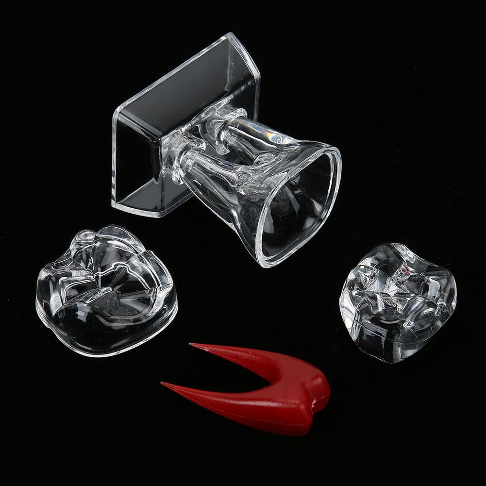 Modelo de dientes estándar, modelo de ense?anza dental, modelo de ...