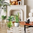 5 Pack Metal Plant Stands,Heavy Duty Potted Holder for Flower Pot ...
