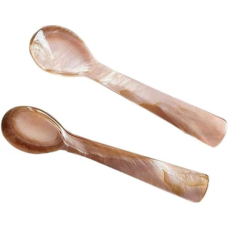 Handmade Shell Scoop, Caviar Ice Cream Dessert Scoop, Stirred Coffee T ...