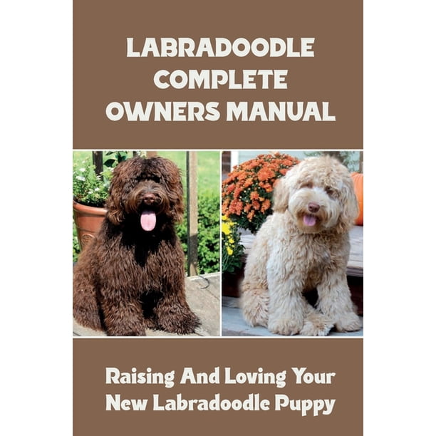 How Do You Potty Train A Labradoodle Puppy